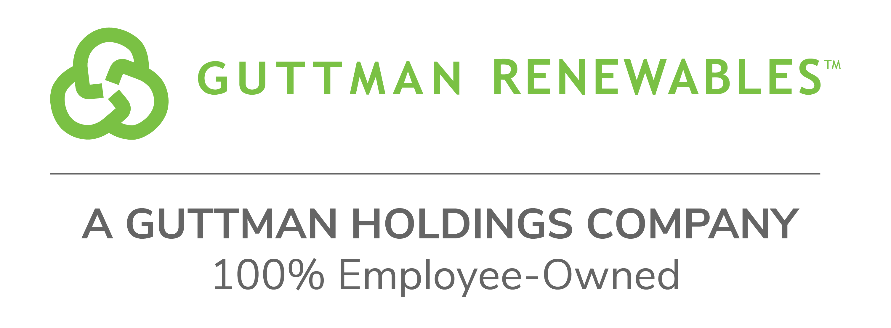Guttman Holdings Logos – Identity Standards